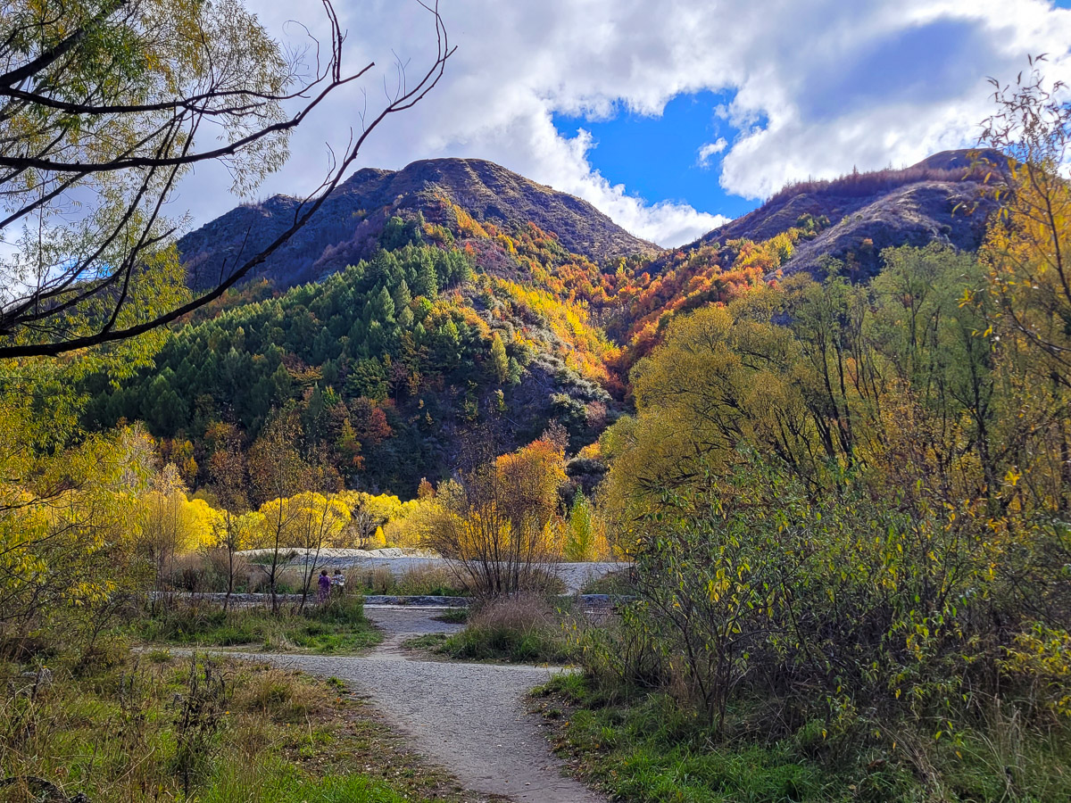 Autumn in New Zealand: A detailed guide - Flightless But Curious