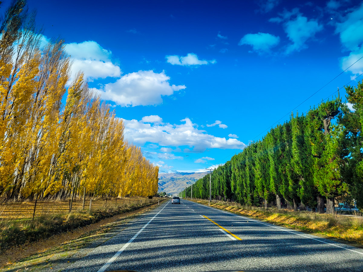Autumn in New Zealand: A detailed guide - Flightless But Curious